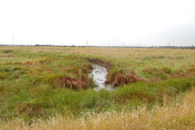 Wild Essex site profile: Fobbing Marsh