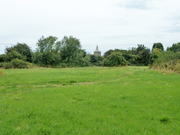 Wild Essex site profile: Great Wakering Common