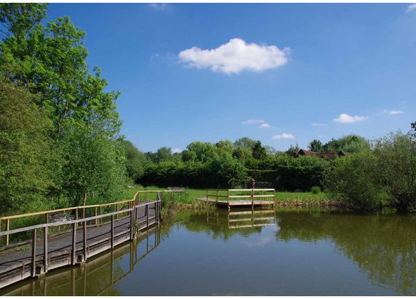 Wild Essex site profile: Nazeing Triangle