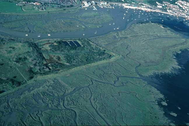 Wild Essex site profile: Two Tree Island