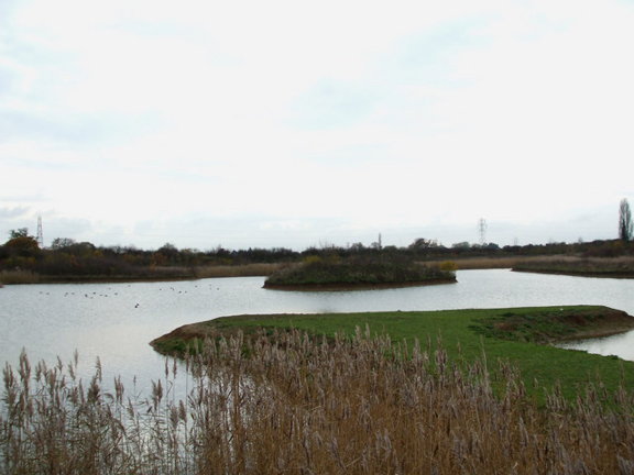 Wild Essex site profile: The Wick Country Park