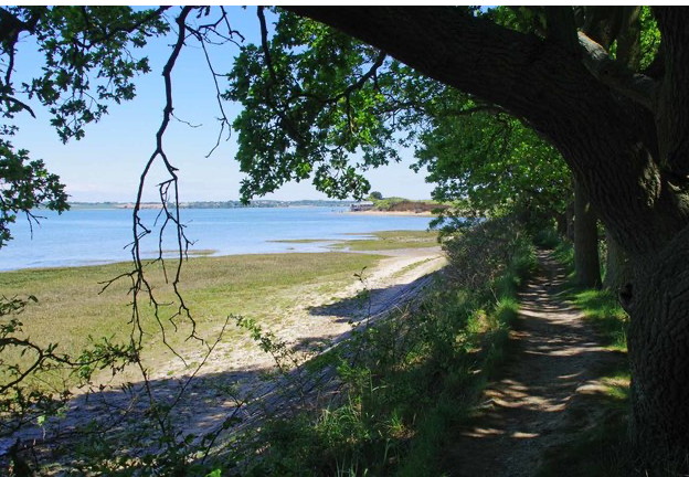 Wild Essex site profile: Wrabness NR